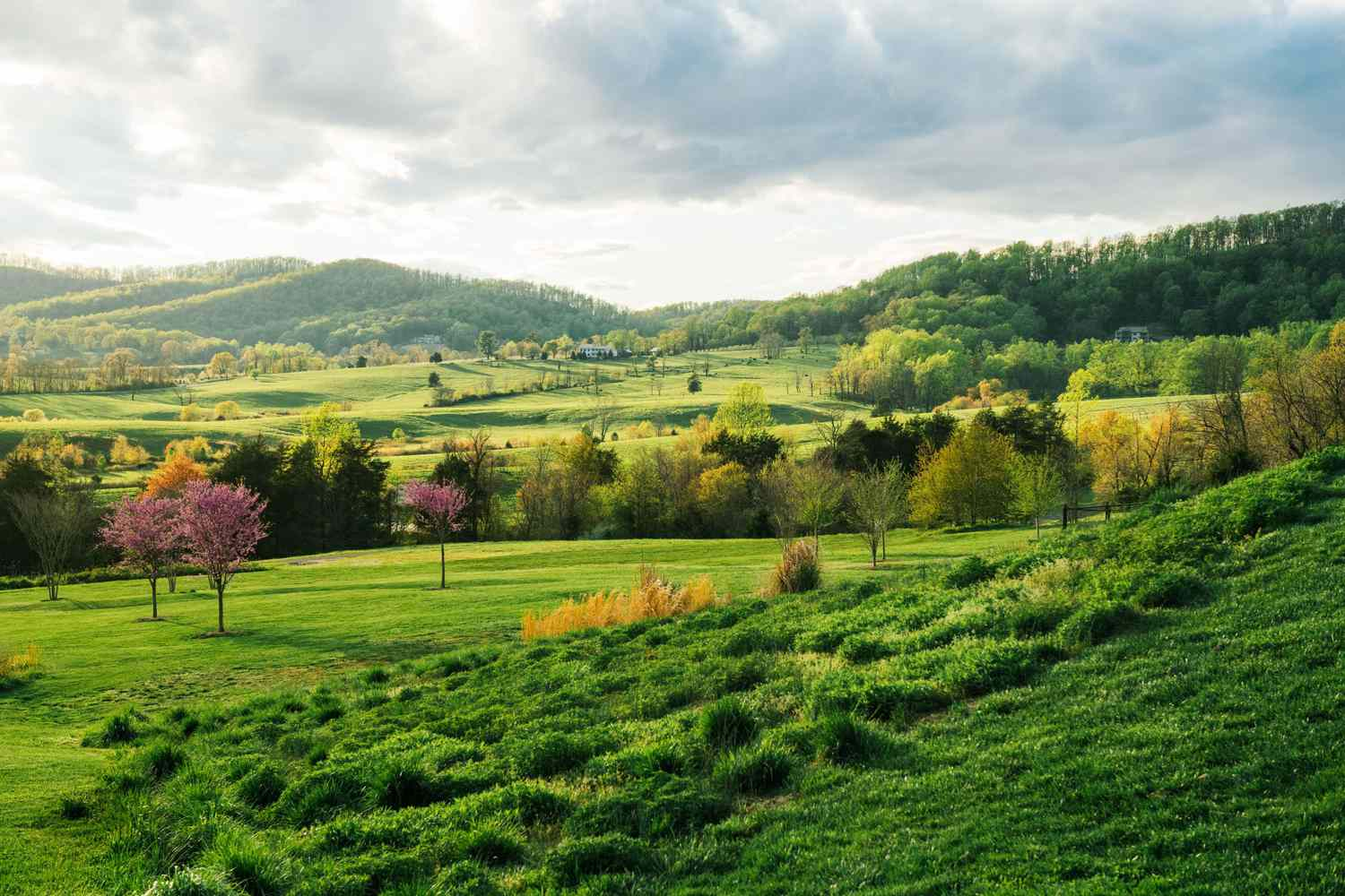 6 Best places to live in Southern Virginia - Smart Explorer