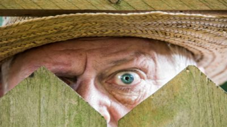 Top 50 Signs of a Jealous Neighbor [Decoding Neighborly Envy] - Smart ...